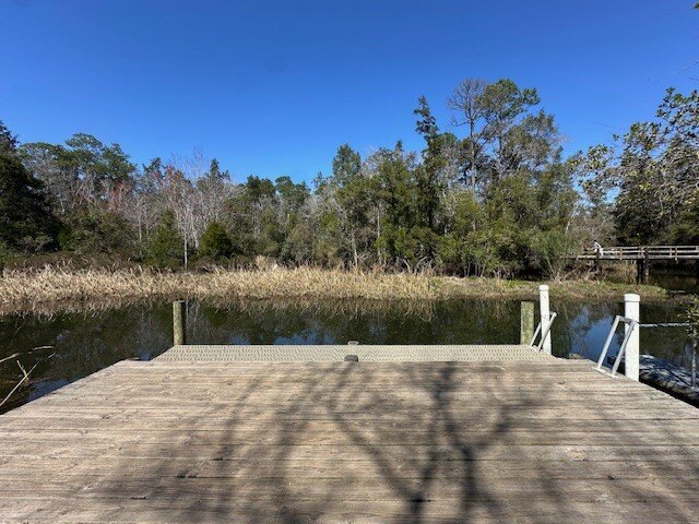 Exploring the Edward Ball Nature Trail at UWF