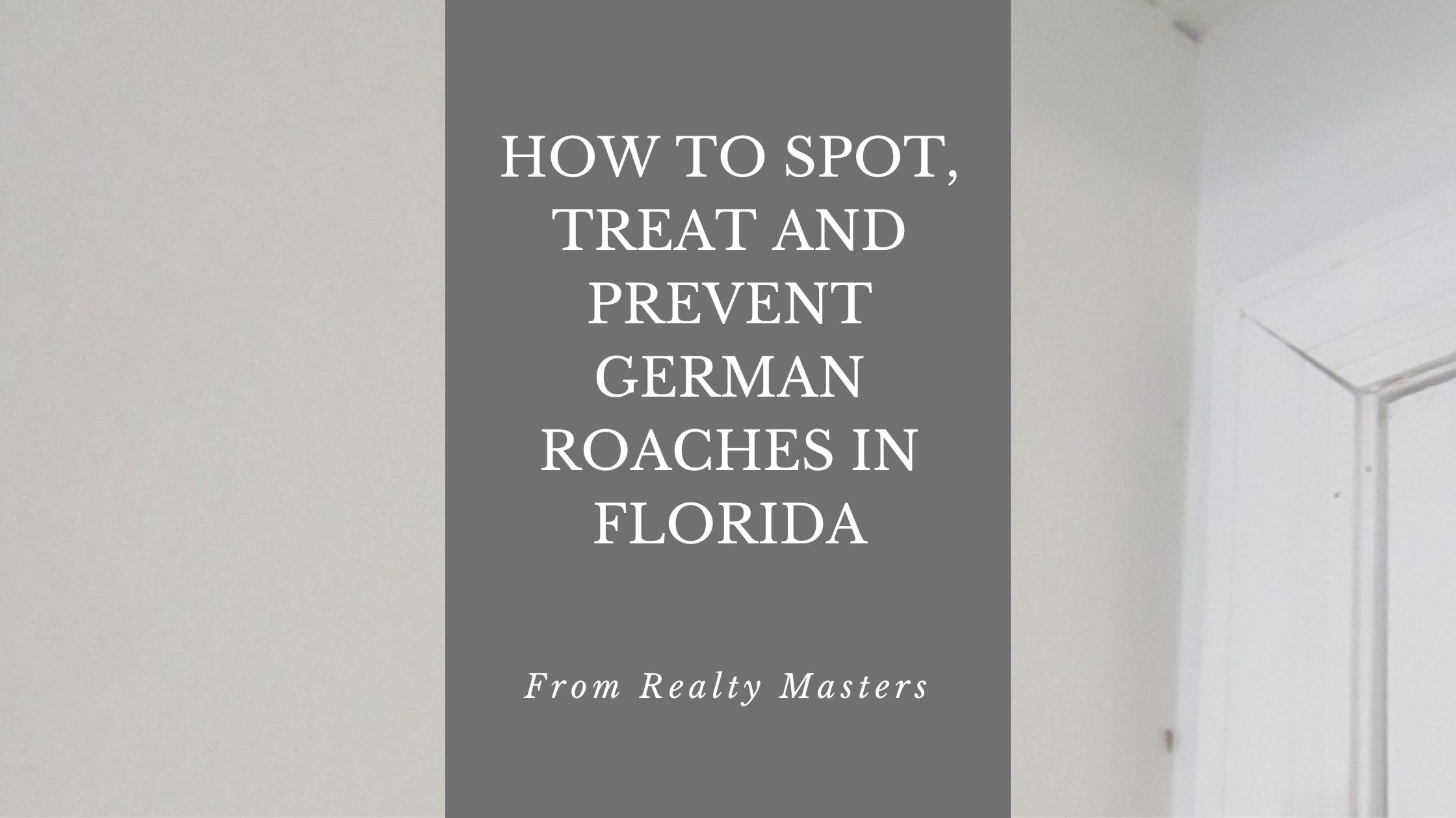 How to Spot, Treat and Prevent German Roaches in Florida