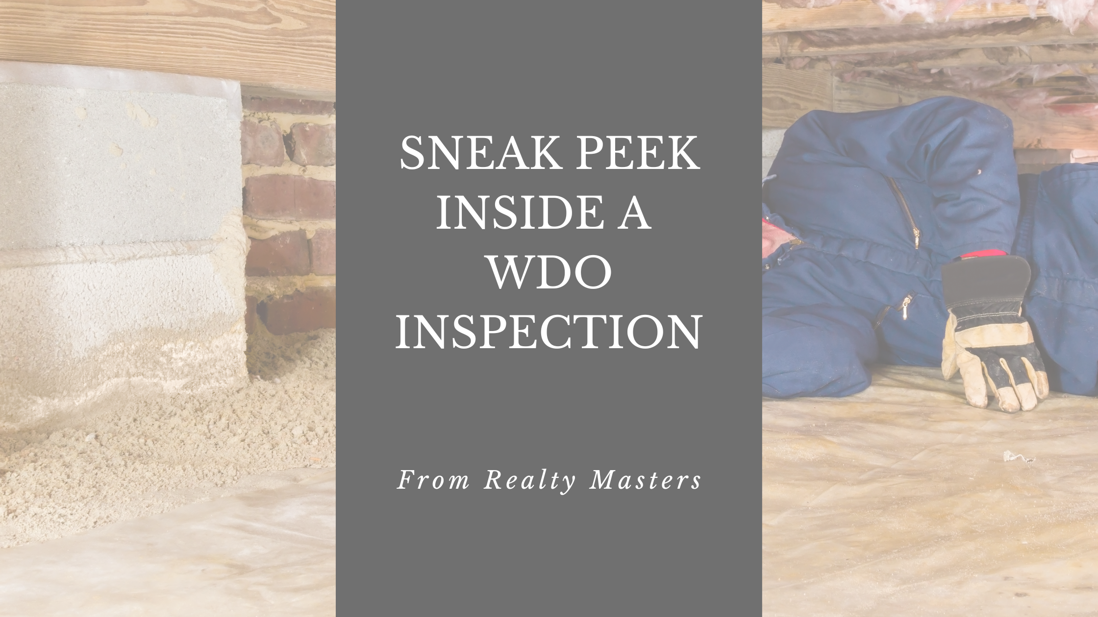 Sneak peek inside a Pensacola WDO Inspection